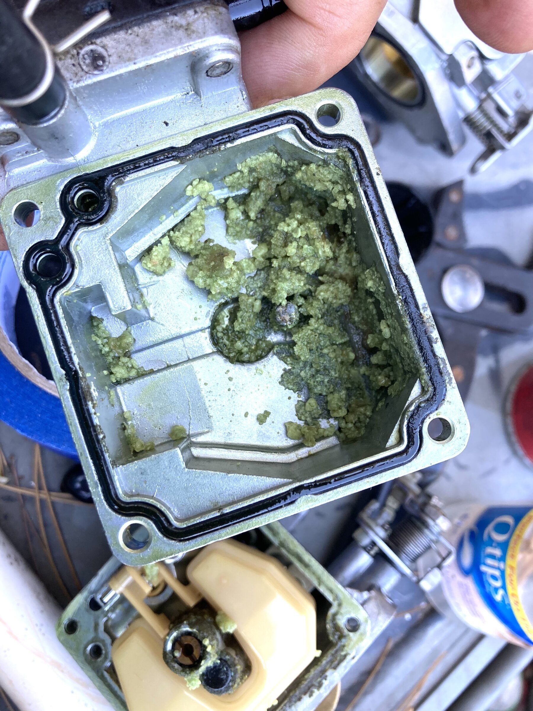 How to Clean an Outboard Carburetor Without Removing It: A Complete ...